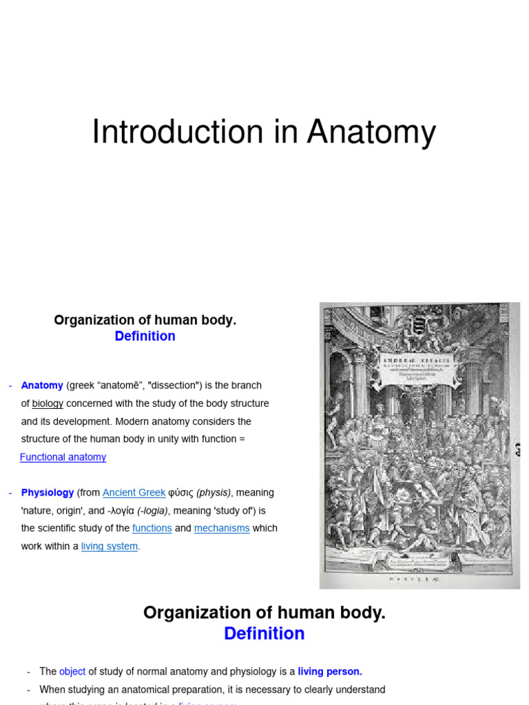 Anatomy: Structure and Function Overview | PDF | Anatomical Terms Of ...