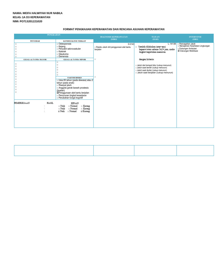 Format Pengkajian Dan Rencana Keperawatan | PDF