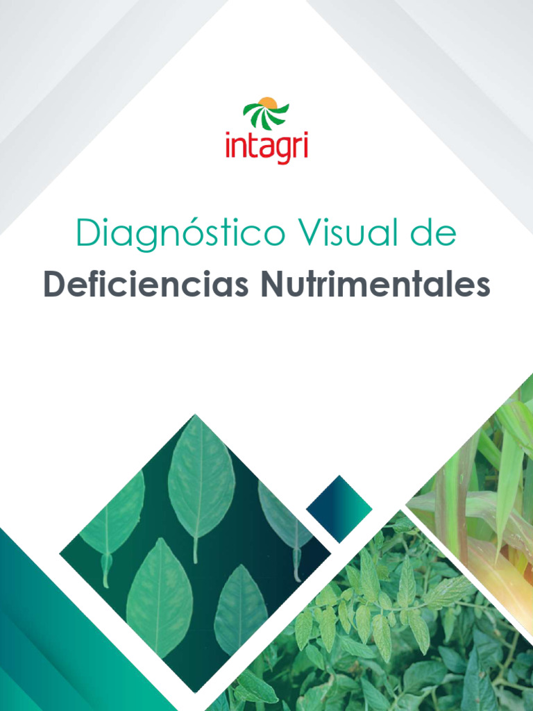 Diagnostico Visual de Deficiencias Nutrimentales | PDF | Hoja | Tallo de la planta