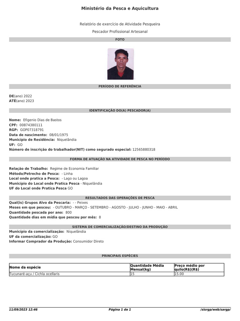 Relatorio Atividade Pesqueira | PDF