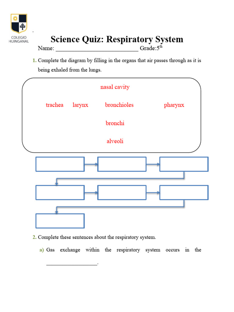 5th Grade Science Test Respiratory System Sept 6th | PDF