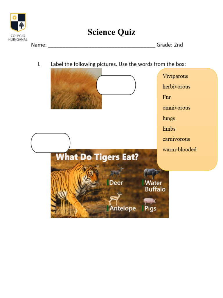 2nd Grade Science Quiz Vertebrates Mammals & Reptiles | PDF | Foreign ...