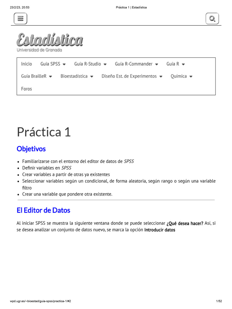 Práctica 1 - Estadística | PDF | Spss | Java (lenguaje de programación)