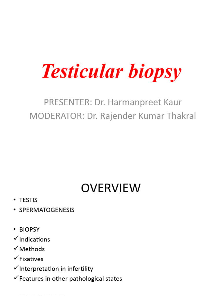 Testicular Biopsy | PDF | Biopsy | Testicle