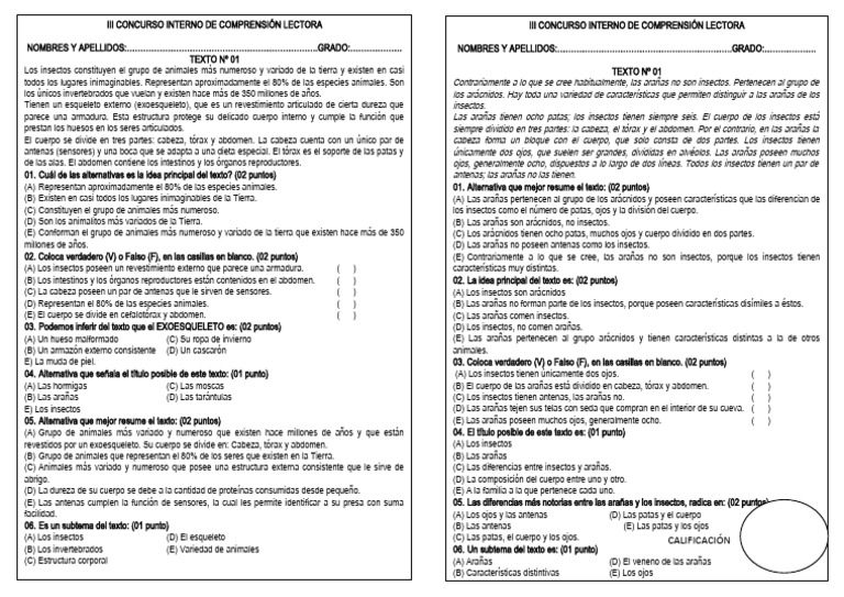 Comprensión Lectora 03-2023 | PDF | Araña | Insectos
