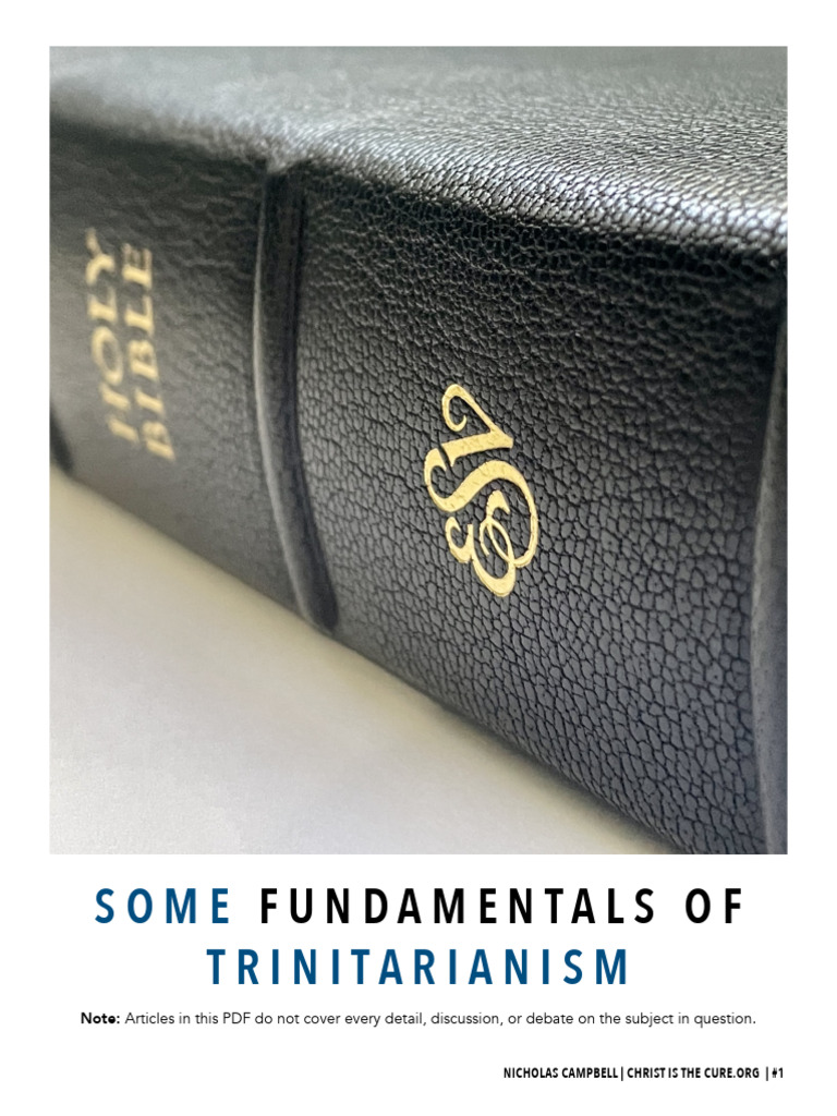 Some Fundamentals of Trinitarianism | PDF | God The Father | Trinity