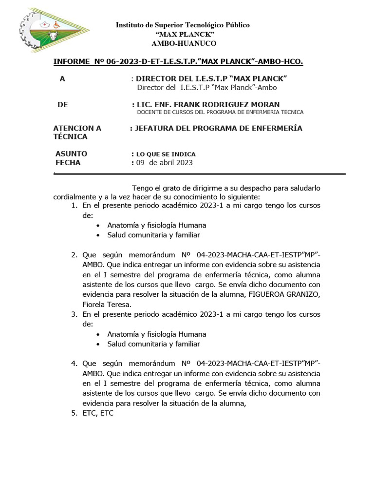 Modelo de Informe | PDF | Cuidado de la salud | Ciencias de la Salud