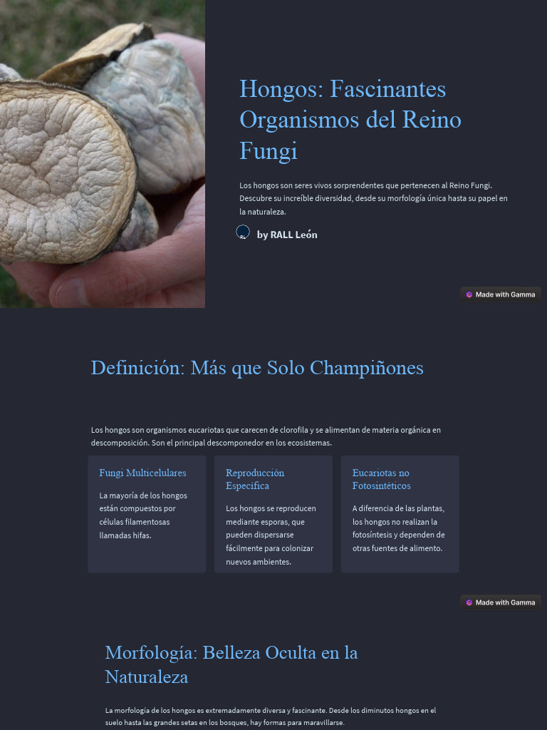 Hongos Fascinantes Organismos Del Reino Fungi | PDF | Hongo | Organismos