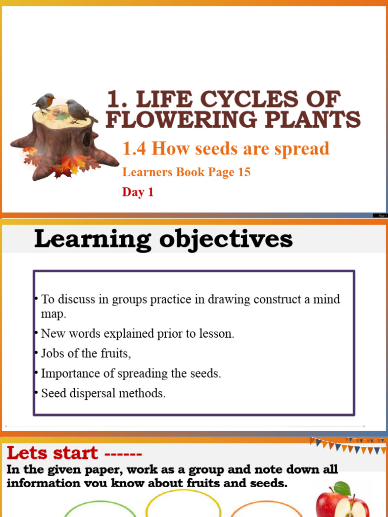 Seed Dispersal Methods for Grade 5 | PDF | Seed | Fruit