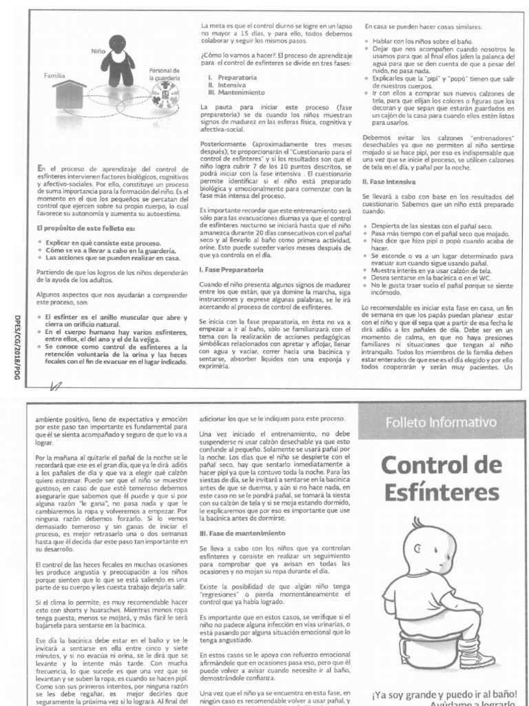 Triptico y Cuestionario DE CONTROL DE ESFINTER | PDF