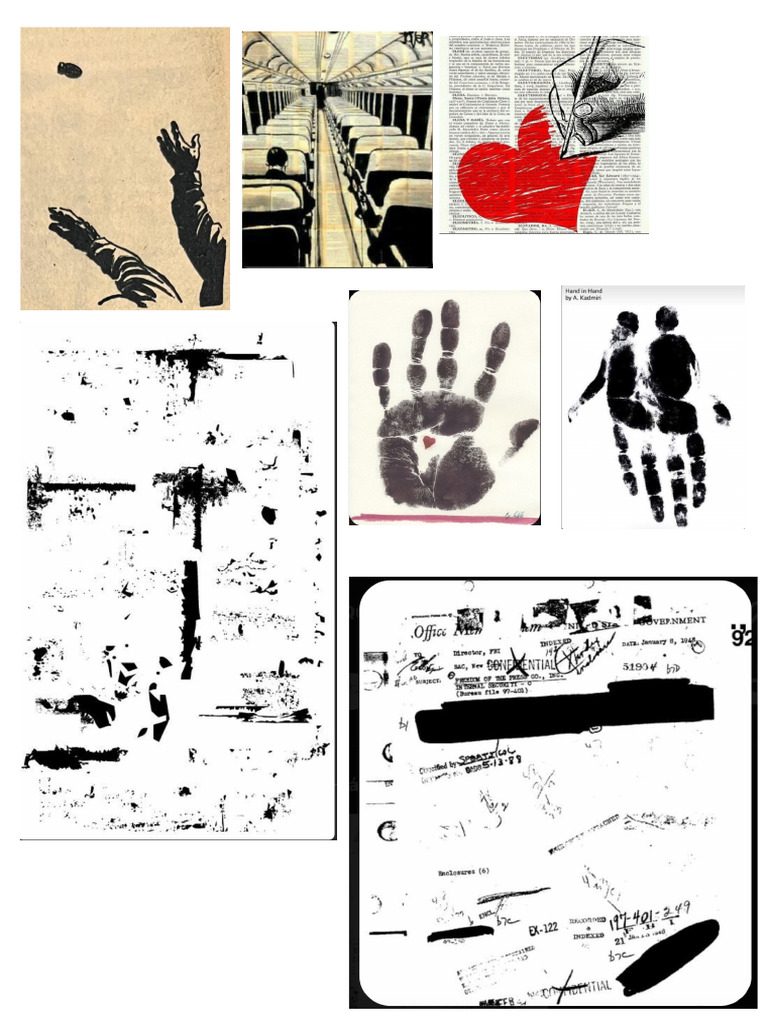 Imagenes Morfo | PDF