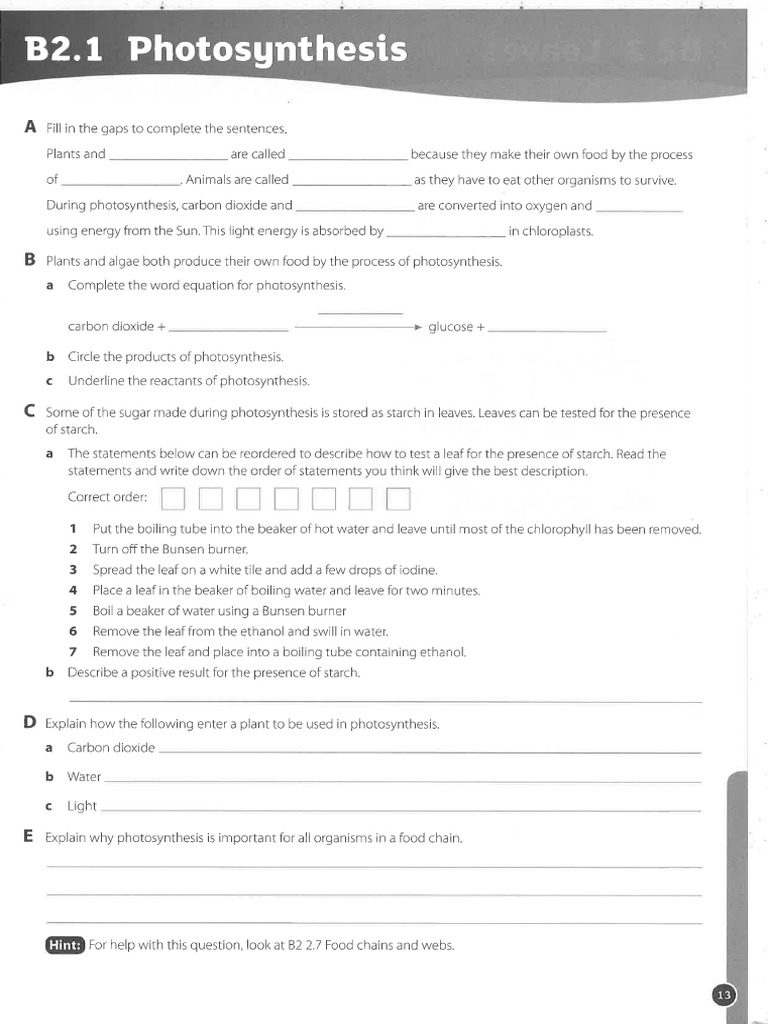 Biology Chapter 2 | PDF