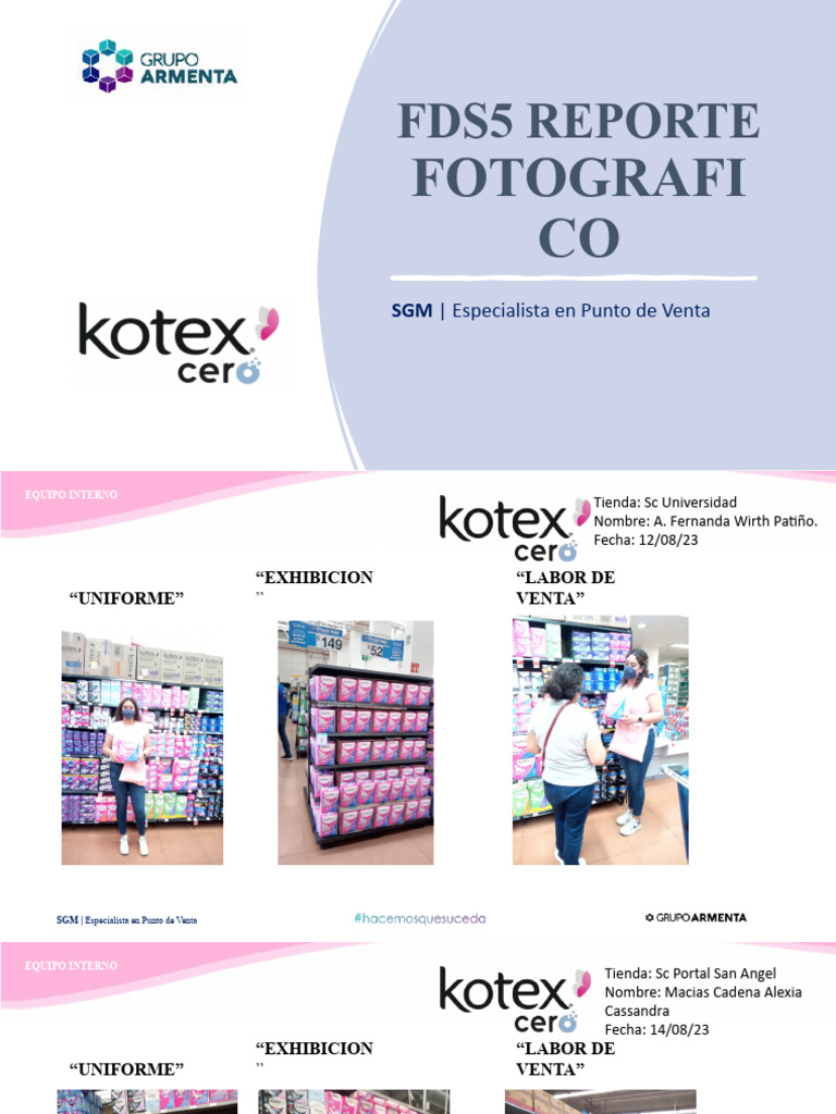 Reporte - Kotex FDS6 | PDF