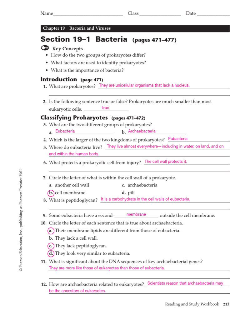 BacteriaWorksheet1 AK | PDF | Bacteria | Cell (Biology)