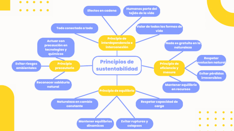Mapa Mental Principios de Sustentabilidad | PDF