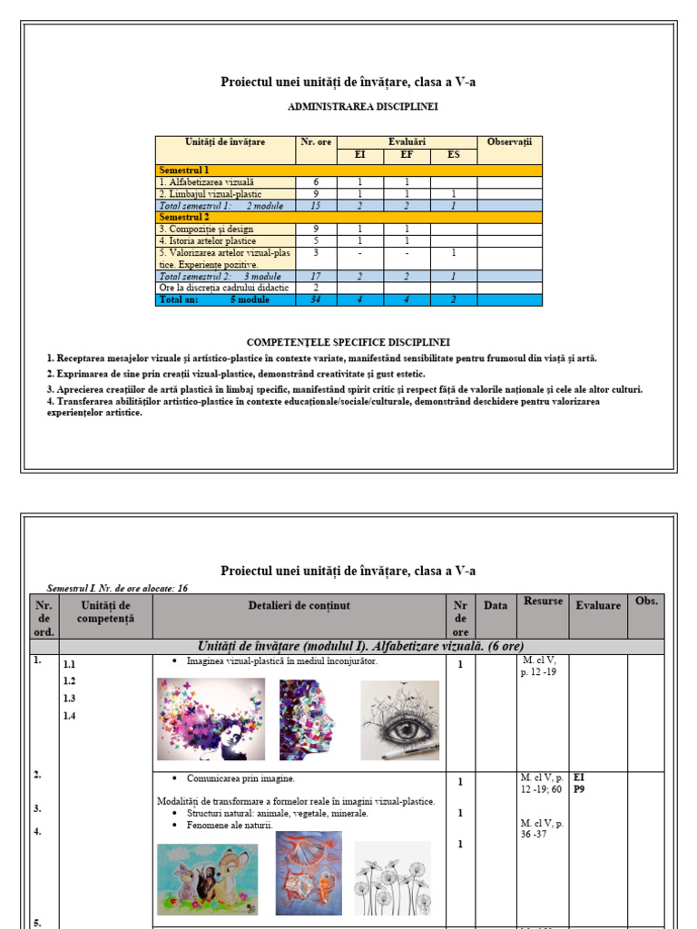 Planul de Lunga Durata La Ed. Plastica | PDF
