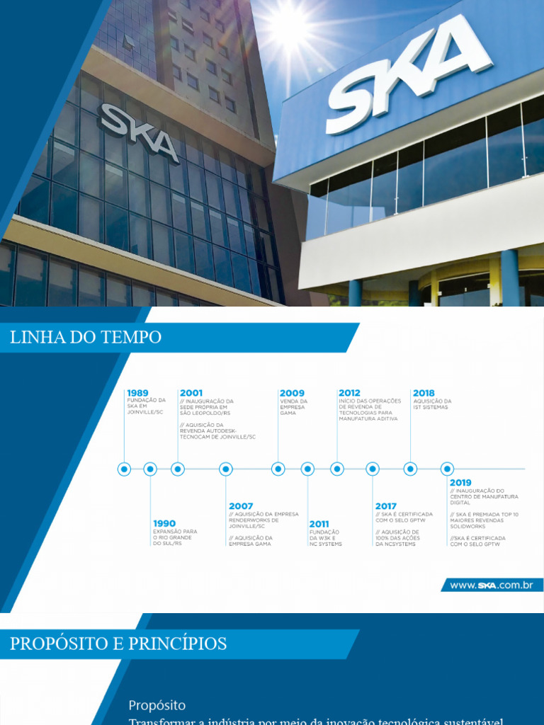 Ska Mes v2 Completa | PDF | Qualidade (negócios) | Rede de computadores