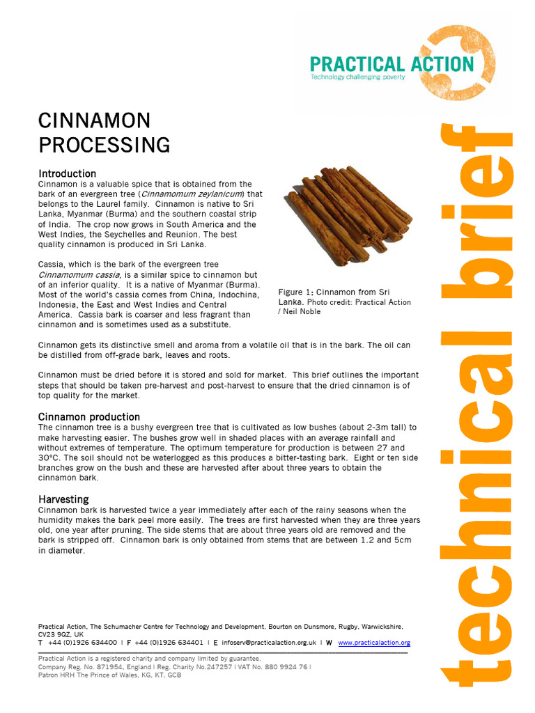 Cinnamon Processing | PDF | Cinnamon