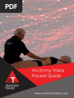 OMT Review | PDF | Human Leg | Anatomical Terms Of Motion