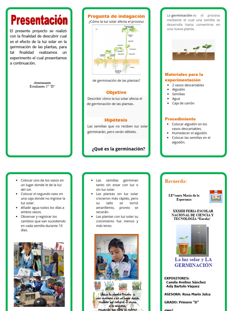 Triptico Fencyt | PDF | Germinación | Naturaleza