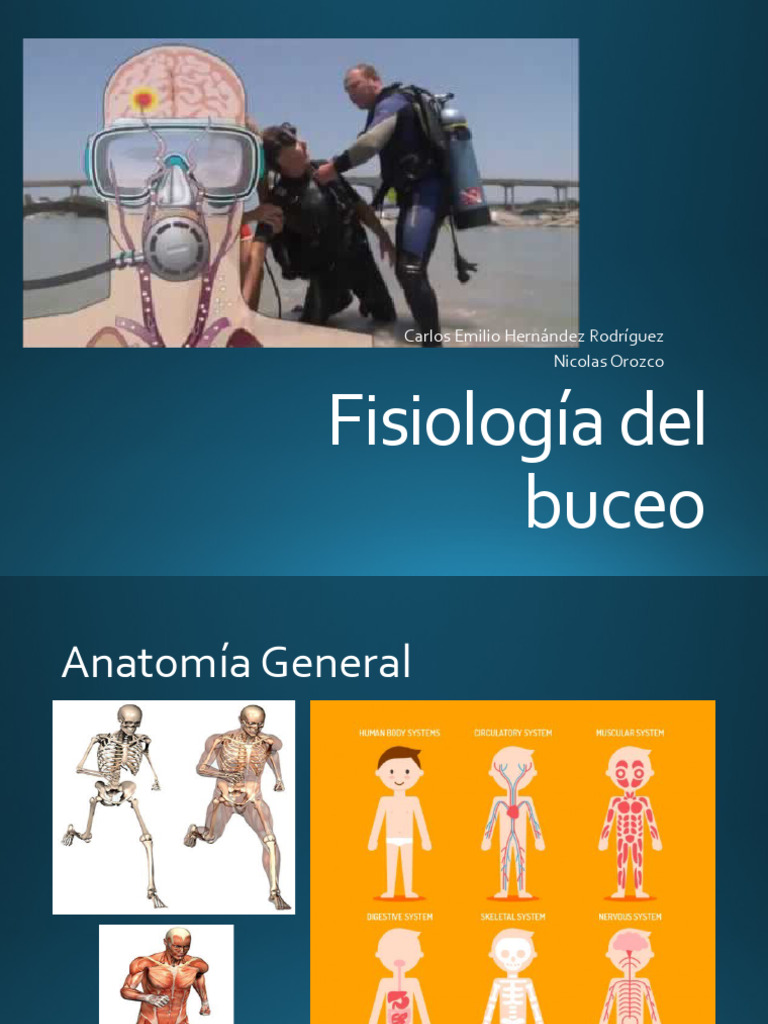 Fisiología Del Buceo | PDF