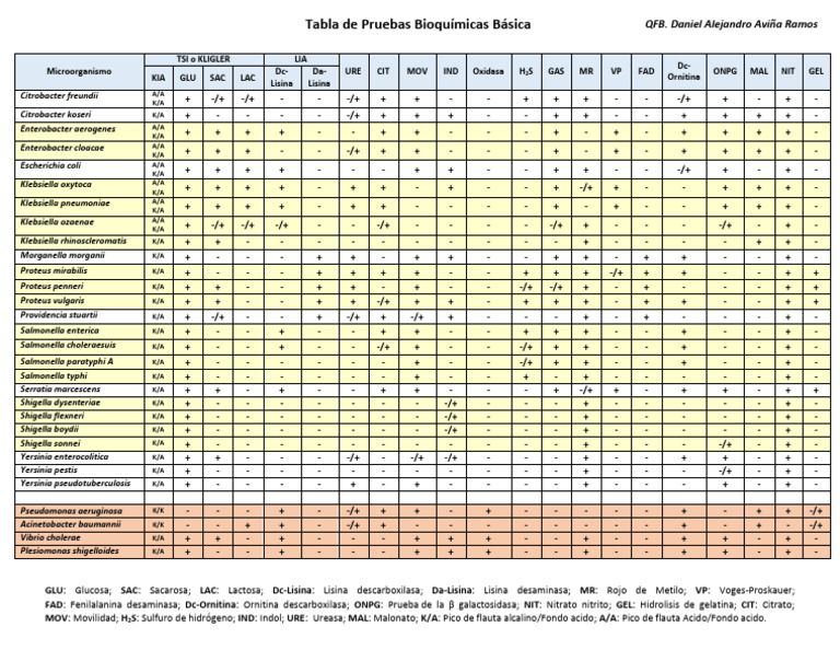 Tabla de Reacciones Bioquimicas 2 | PDF | Salmonela | Bacterias Gram-negativo