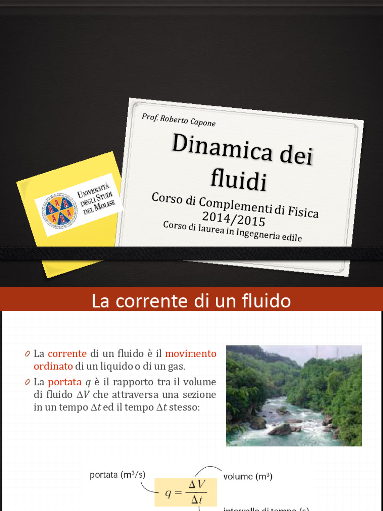 Dinamica Dei Fluidi | PDF