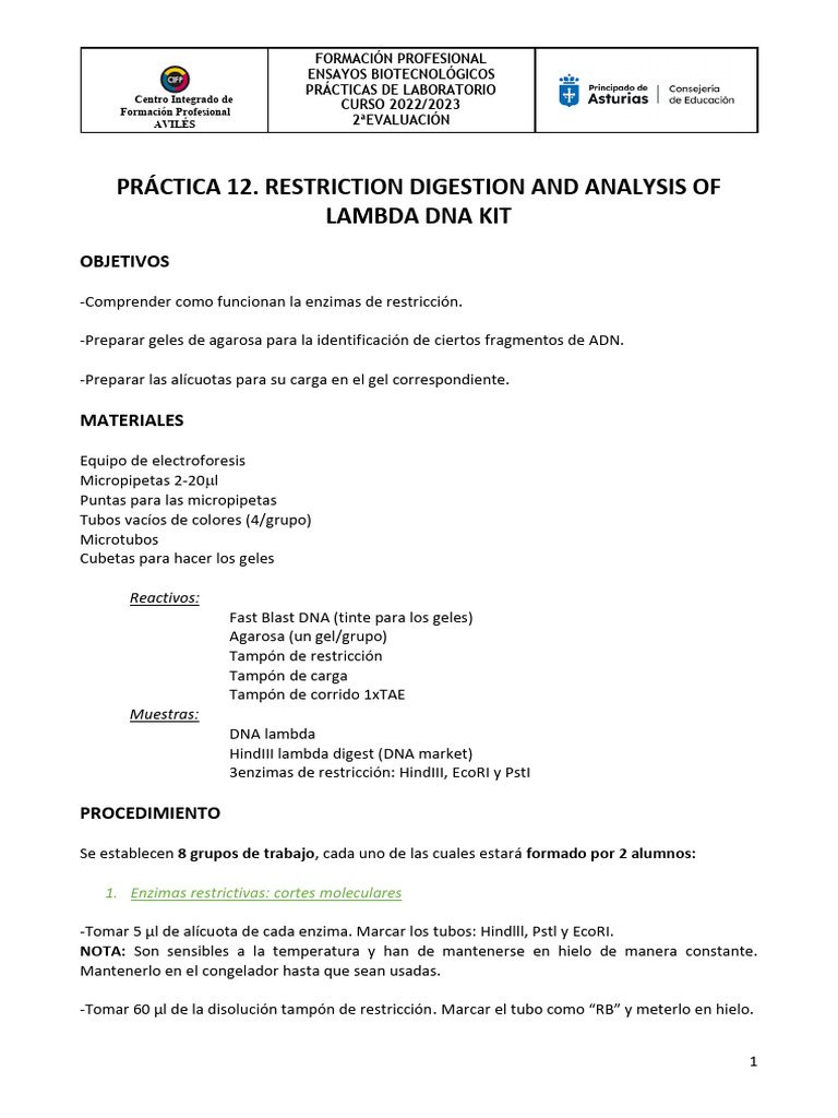 PRÁCTICA 12.restriction Digestion and Analysis of Lambda DNA Kit | PDF | Enzima restrictiva ...