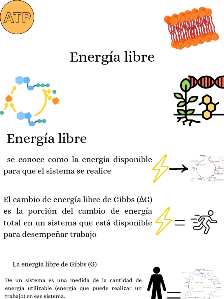 Energía Libre | PDF | Energía libre de Gibbs | Reacciones químicas