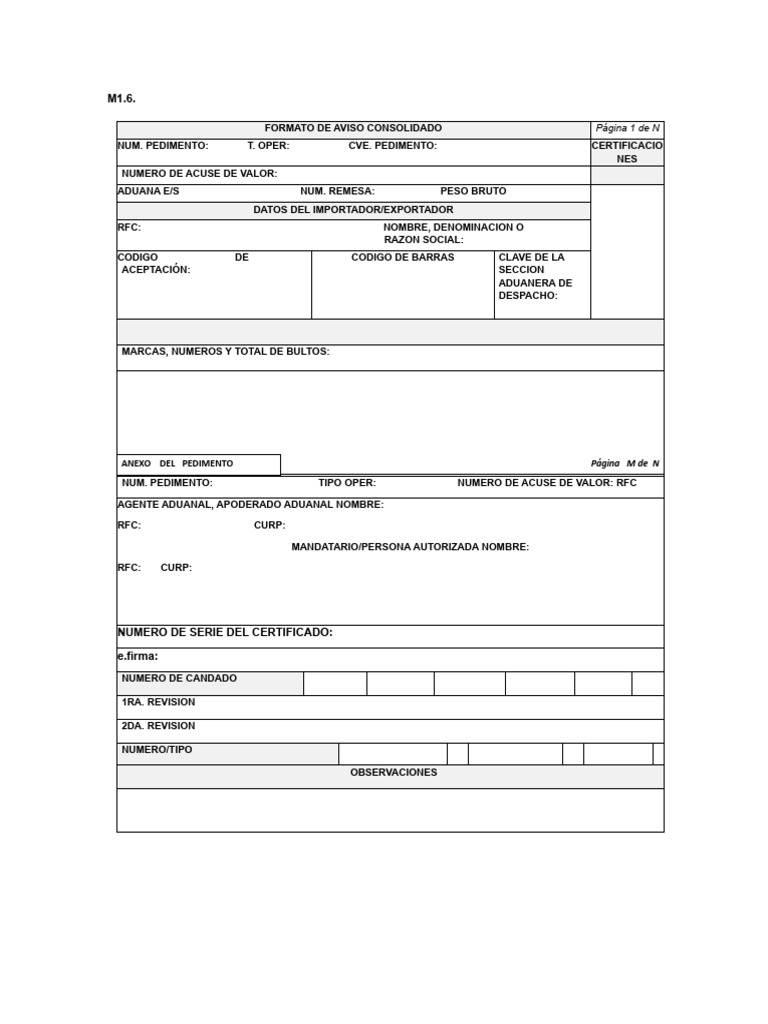 Formato de Pedimento Consolidado | PDF