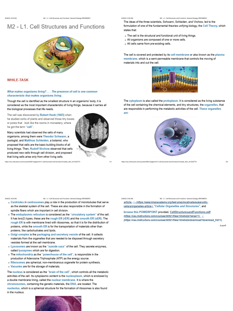 M2 - L1. Cell Structures and Functions | PDF | Endoplasmic Reticulum | Cell (Biology)
