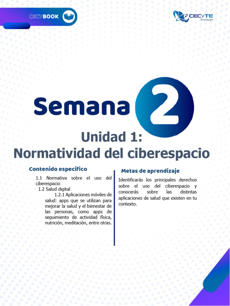 Unidad 1: Normatividad Del: Ciberespacio | PDF | Software de la aplicacion | Aplicación movil
