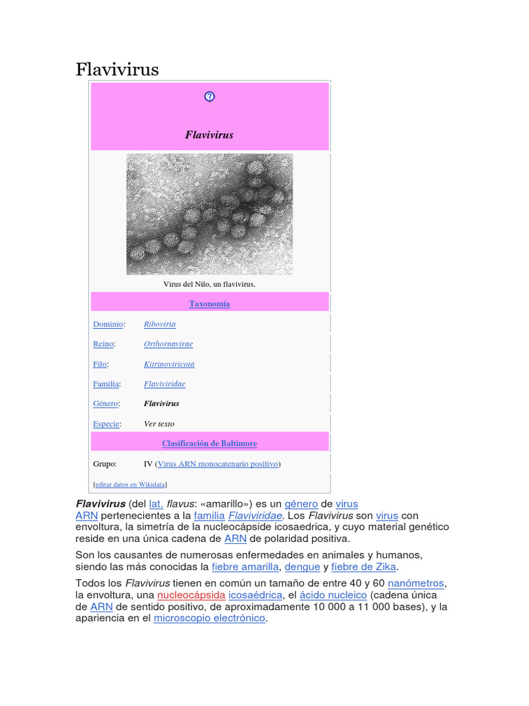 Flavivirus: Género y Enfermedades | PDF | Virología | Virus