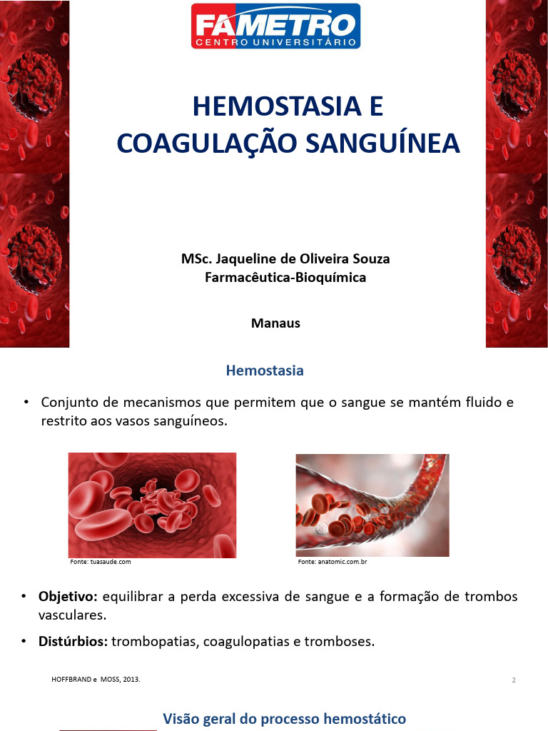 Aula 4 - Hemostasia e Coagulação | Download grátis PDF | Hemostasia ...