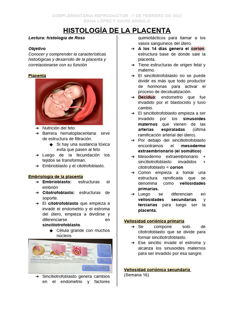 Histología de La Placenta | PDF | Placenta | Reproducción