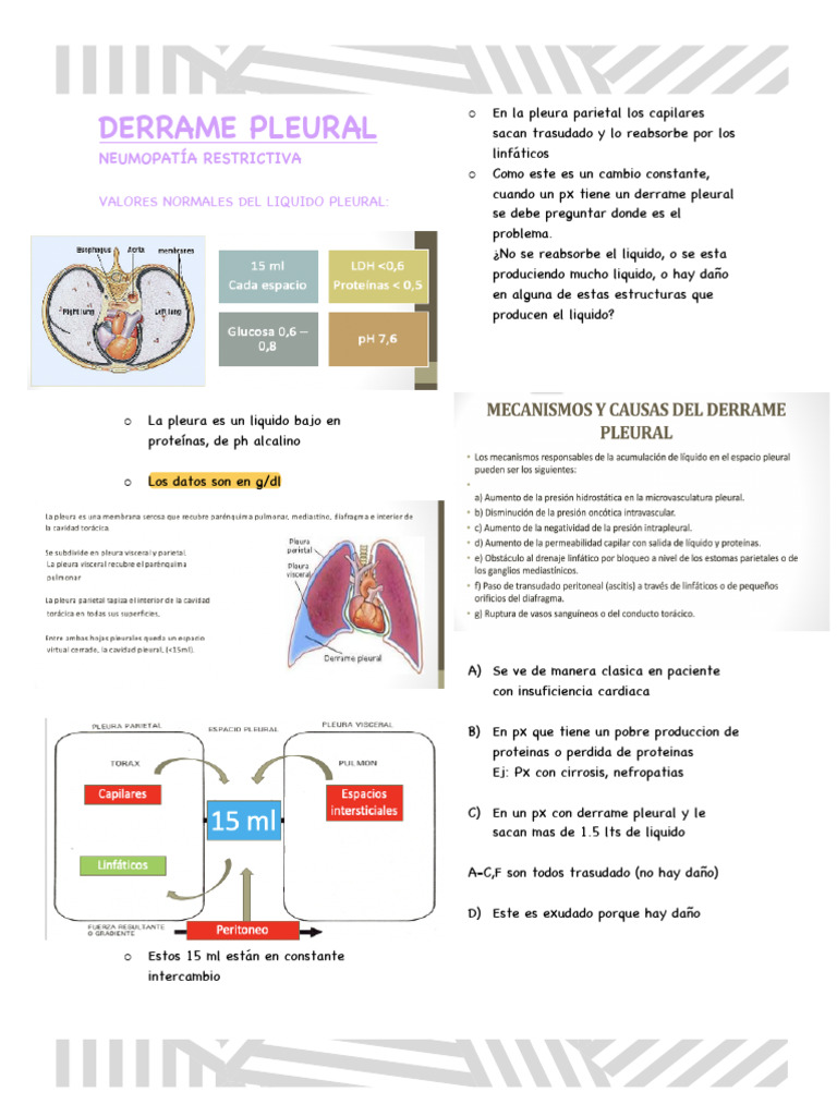 Diagnóstico y Tipos de Derrame Pleural | PDF | Enfermedades y trastornos | Medicina CLINICA