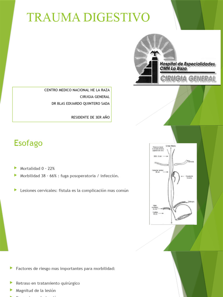 Trauma Digestivo | PDF | Lesión | Tracto gastrointestinal