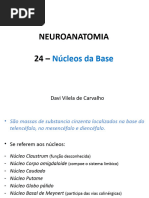 Estrutura e Funcao Dos Nucleos Da Base | PDF | Gânglios basais ...