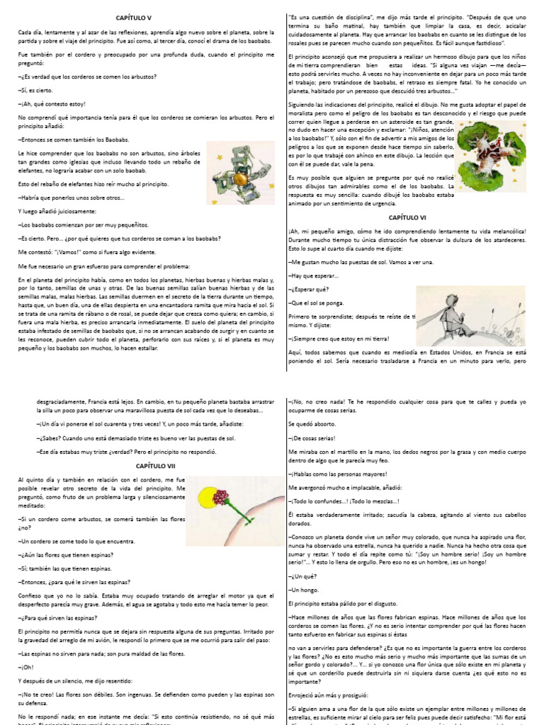 CAPÍTULO V | PDF | El Principito