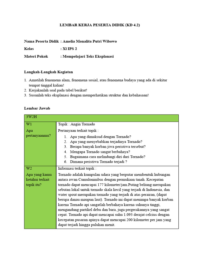 Amelia Monalita - 11 IPS 2 - Tabel Eksplanasi | PDF