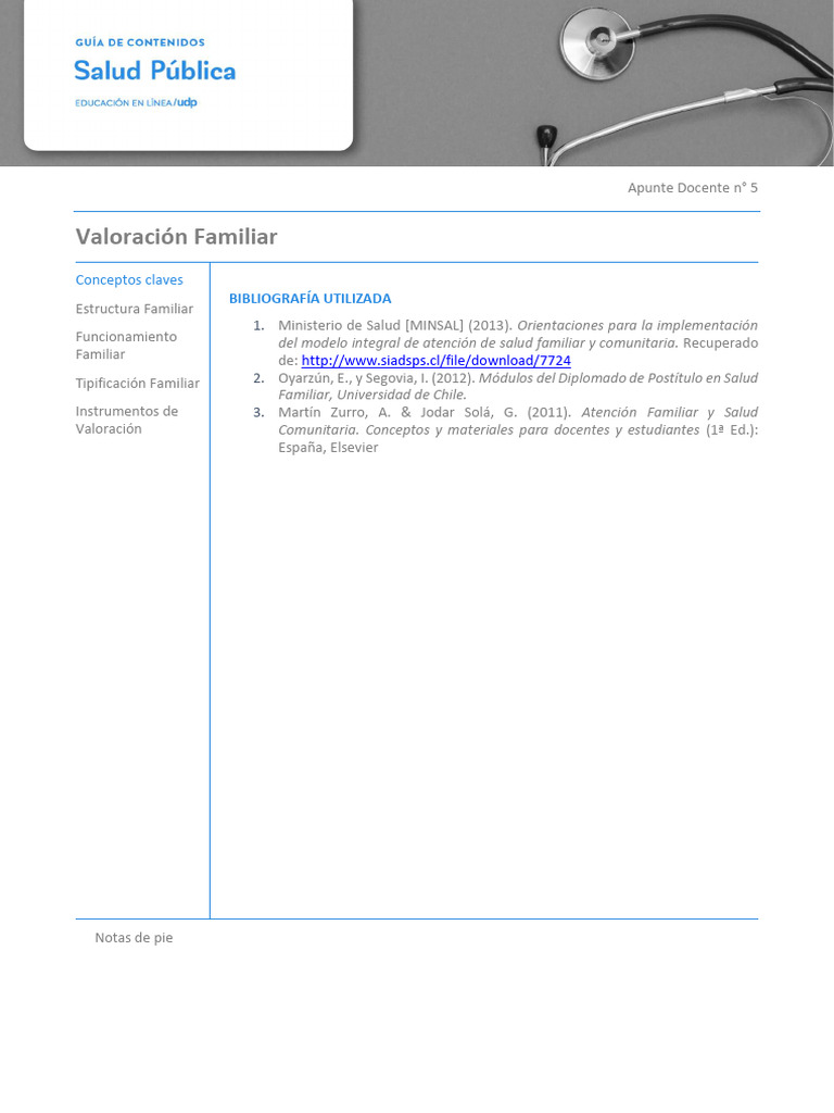 Apunte Docente Valoración Familiar | PDF | Familia | Adultos