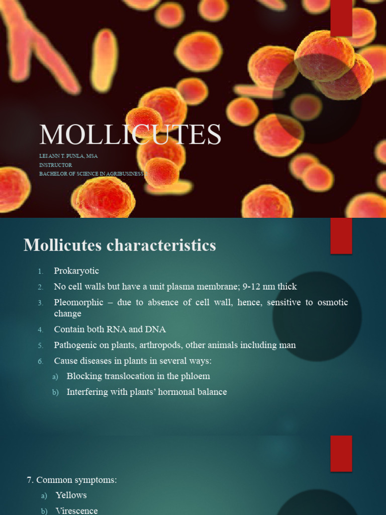MOLLICUTES | PDF | Organisms | Plants