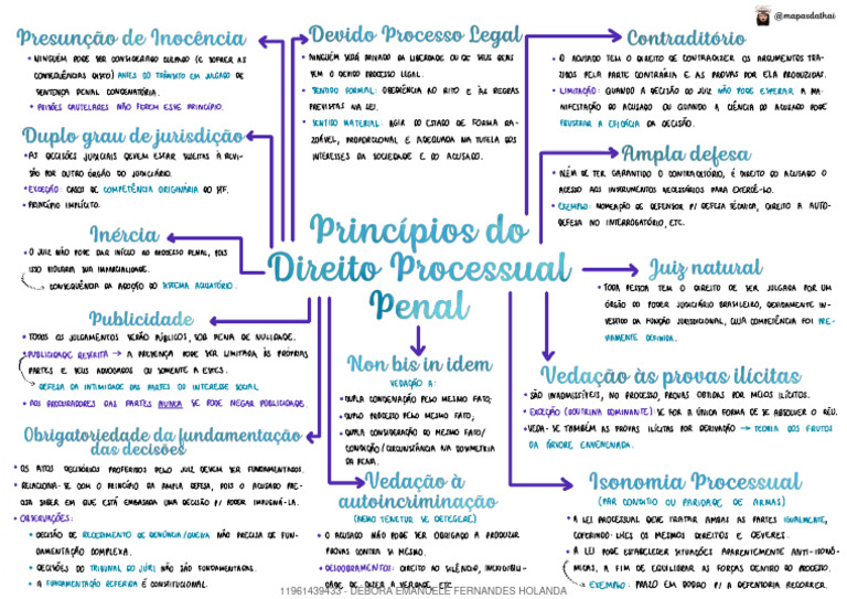02 - Mapa-Mental-Principios-Do-Direito-Processual-Penal | PDF | Procedimento criminal | Direito ...