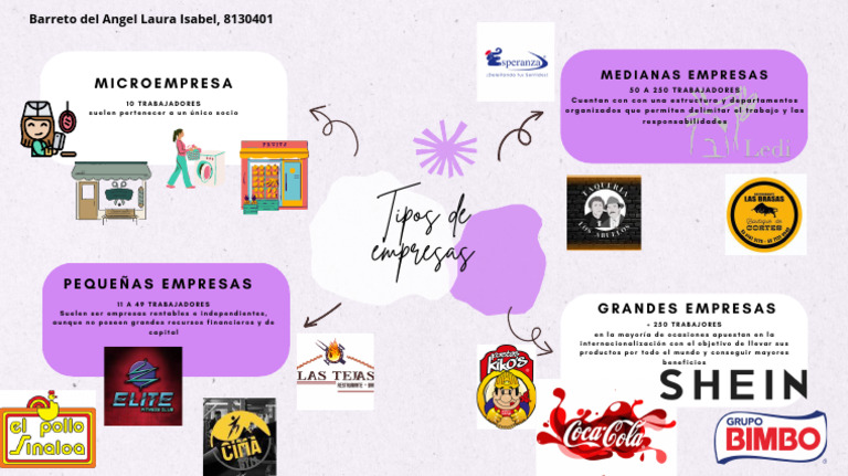 Mapa Mental Sobre El Tipo de Empresas | PDF