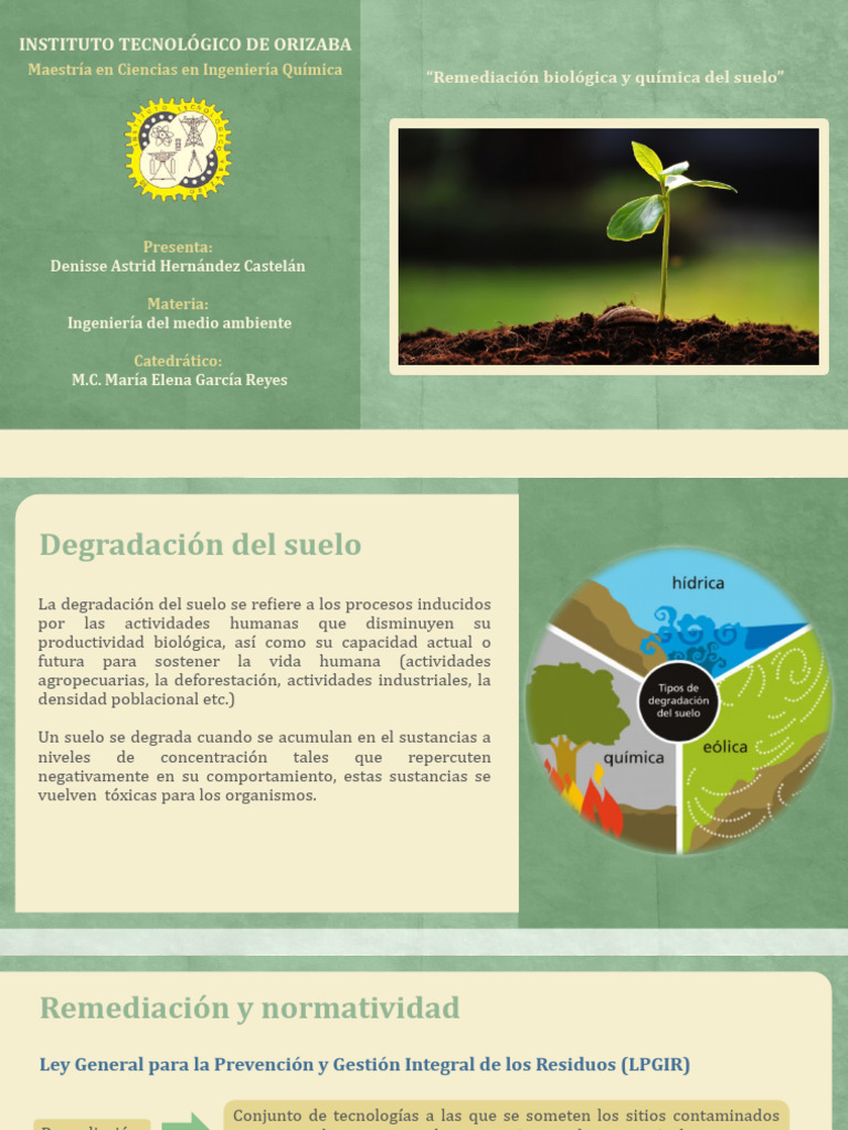 Remediación Biológica y Química Del Suelo | PDF | Contaminación | Residuos Remediación Biológica y Química Del Suelo | PDF | Contaminación | Residuos