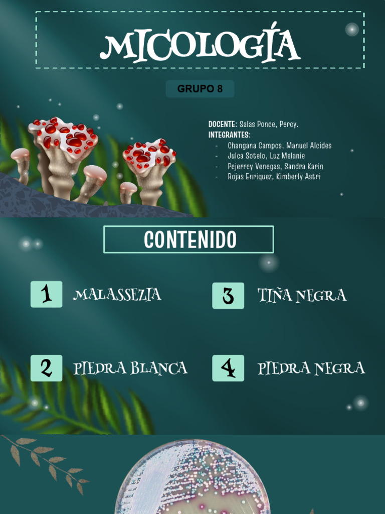 Micosis de Piedra Blanca y Negra | PDF