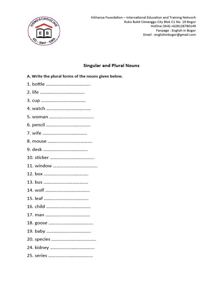 Singular and Plural Nouns Intermediate Level | PDF | Linguistic ...