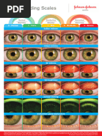 CCLRU Grading | PDF | Social Science