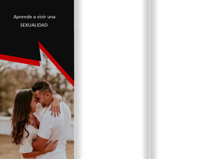 Base de Triptico | PDF