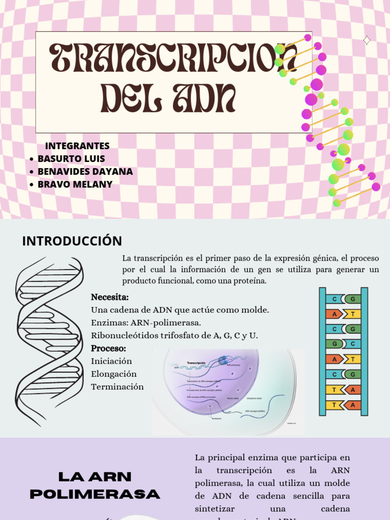 Transcripcion Del Adn | PDF | Rna | Adn